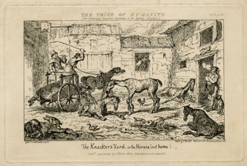 The Elysium of Animals: A Dream | Graphic Arts