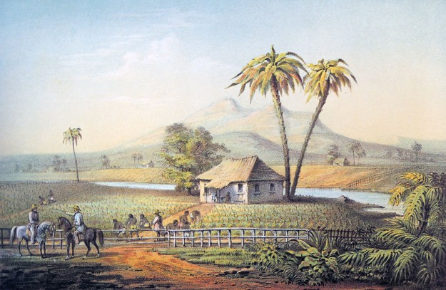 Cuba, ca. 1850 | Graphic Arts