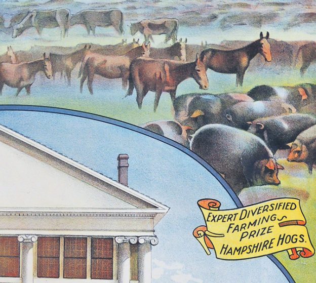 Miller Brothers 101 Ranch | Graphic Arts