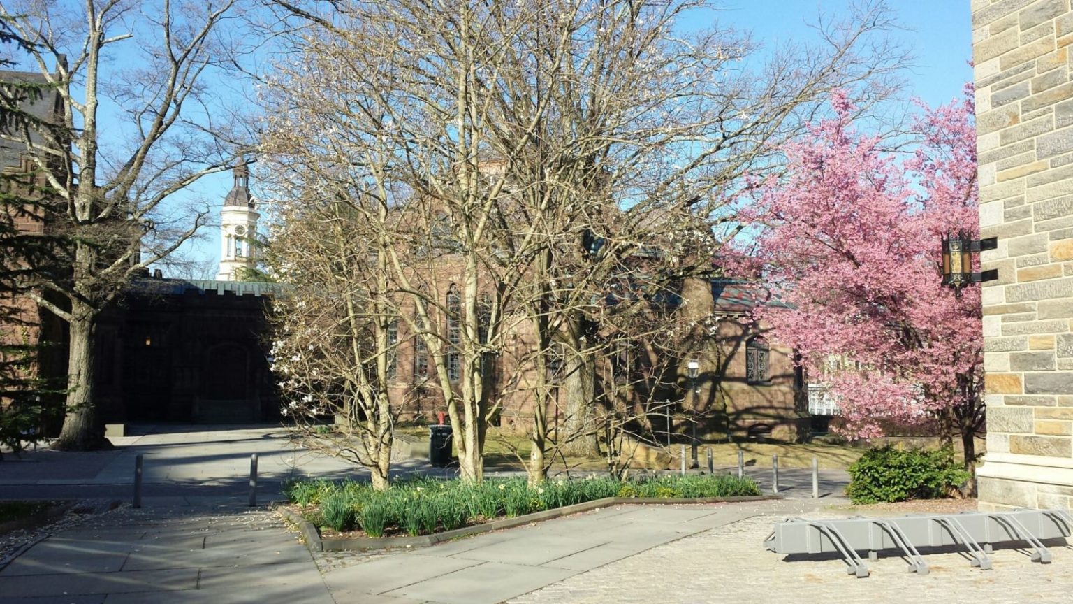 Graphic Arts | Exhibitions, acquisitions, and other highlights from the ...