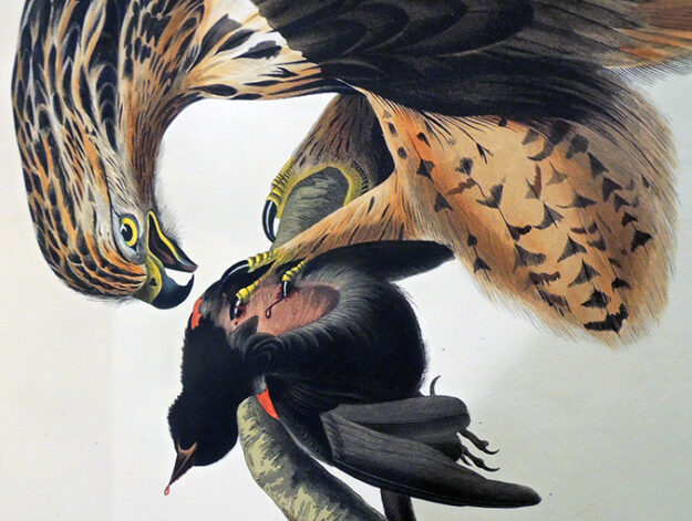 Graphic Arts | Exhibitions, acquisitions, and other highlights from the ...