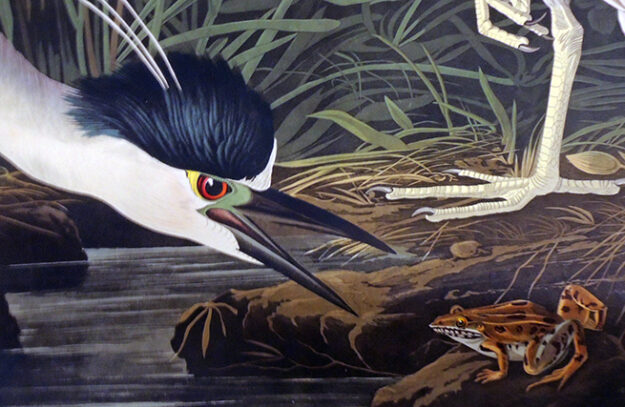 Graphic Arts | Exhibitions, acquisitions, and other highlights from the ...